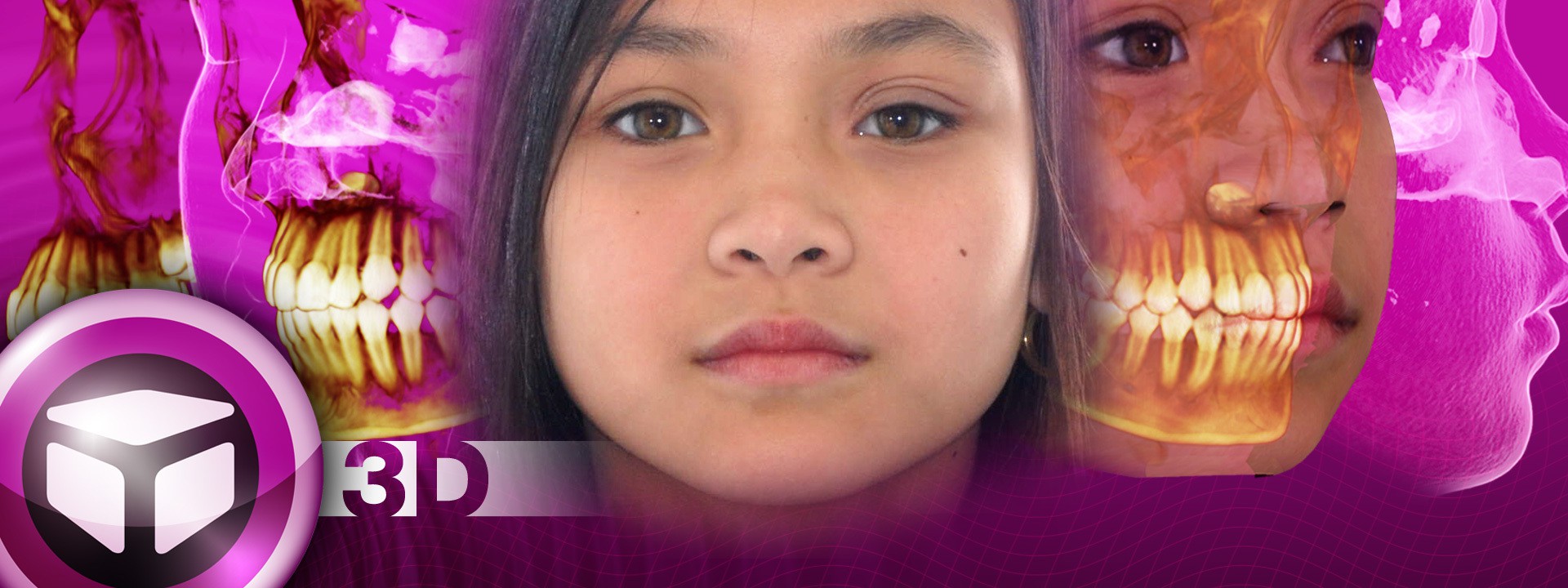 Dolphin Management Reviews 2025: Pricing, Features & More