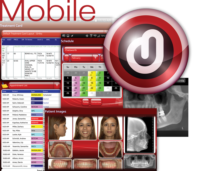 Dolphin Management Reviews 2025: Pricing, Features & More