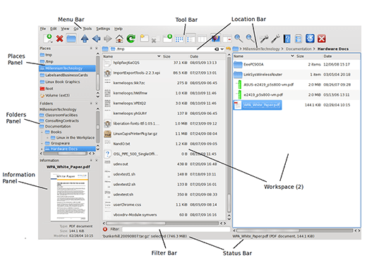 Dolphin Management Reviews 2025: Pricing, Features & More