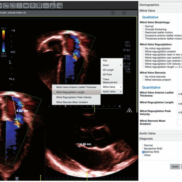 ViTel Net Reviews 2024: Pricing, Features & More